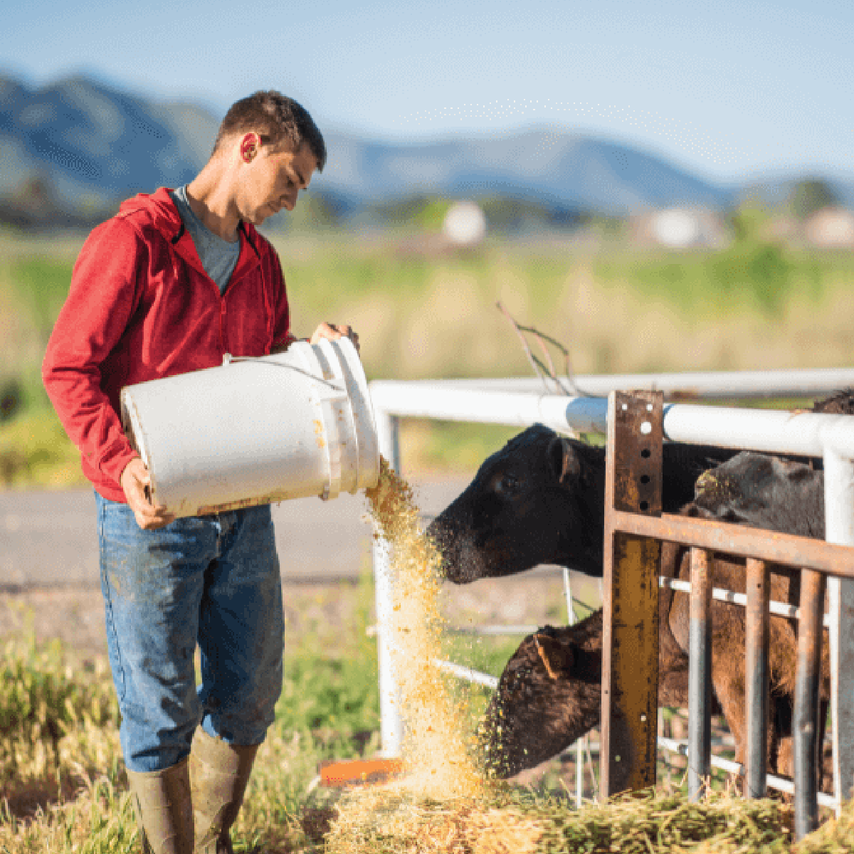 Career Pathways - YA Wisconsin